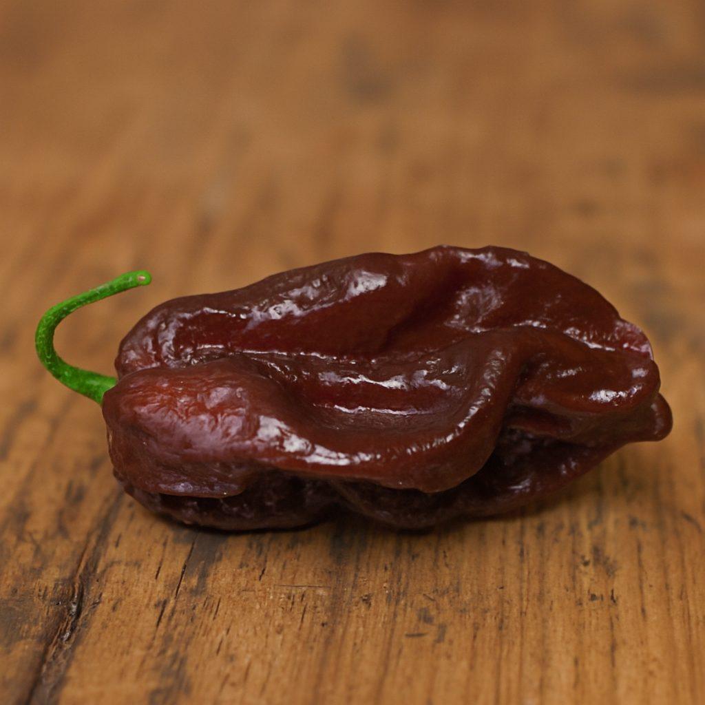 7 Pot Douglah Chilli Seeds Authentic - From Seed To Sensation: Spring ...