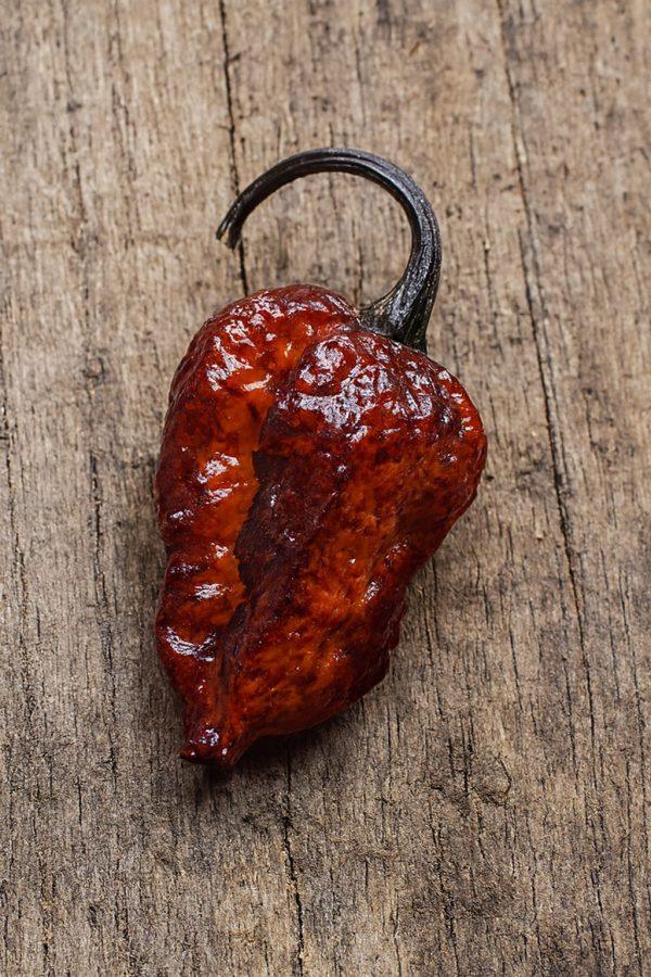 Pimenta Da Dog Chilli Seeds Authentic - From Seed To Sensation: Spring ...